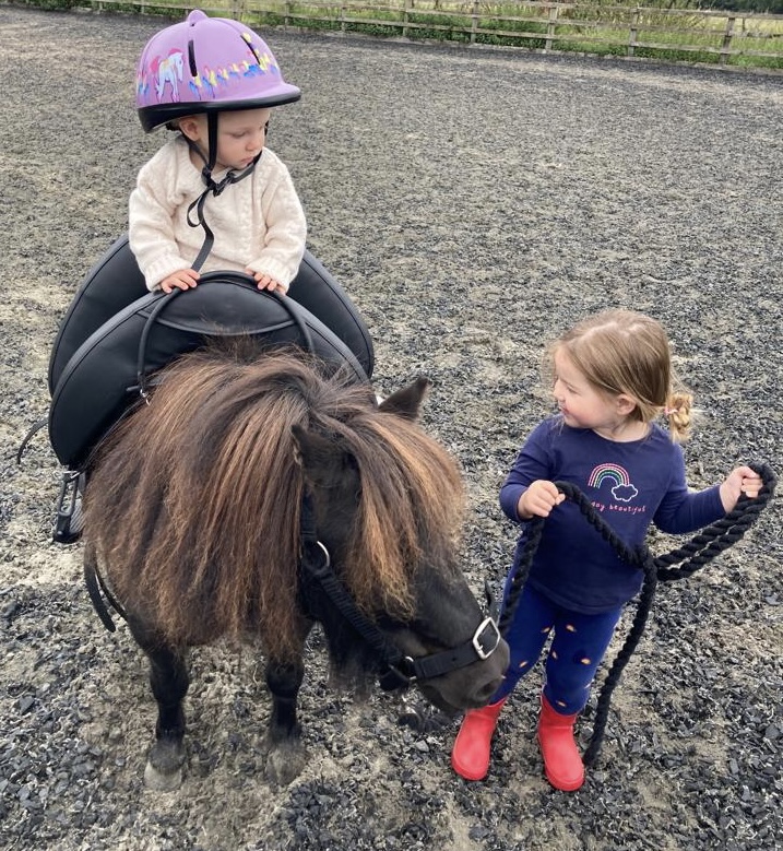 Hertfordshire's premier provider of Pony Parties